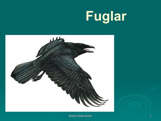 Fuglar | PPT