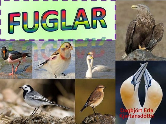 وحدة النظام في الحاسب الآلي | PPT