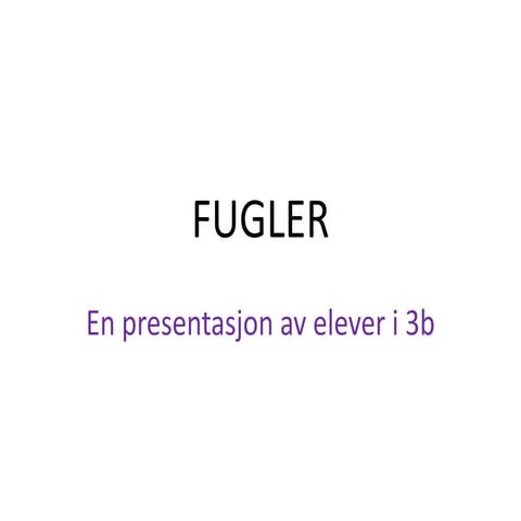 Fugler - 3b | PPTX