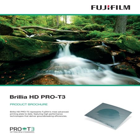 Brillia Pros And Consnull
