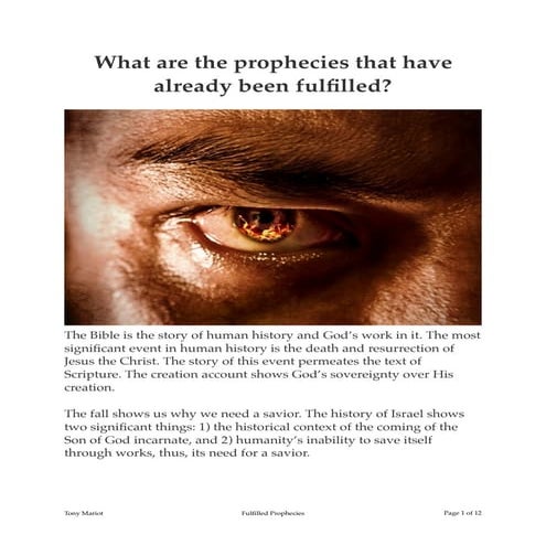 Fulfilled Prophecies | PDF