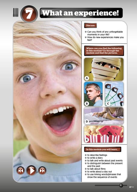 The simple past tense | PPTX