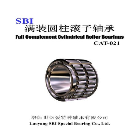 Full complement cylindrical roller bearings | PDF