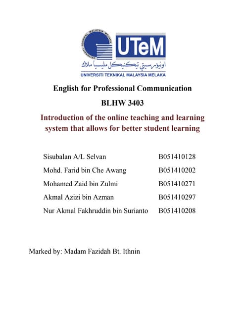 Mini thesis complete | PDF