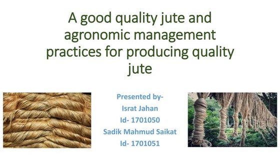 Natural FIber - Jute | PPTX