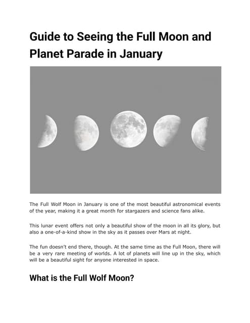 The Impact of Heidi Kill Tony on Comedy and Heidi Departure | PDF