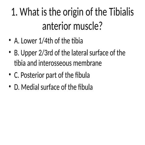 Full_Muscle_MCQs_Presentation.Anatomy. ppt | PPTX