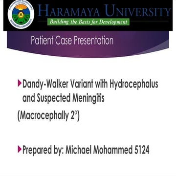 Full_Patient_Case_Presentation_A_M hospital .pptx