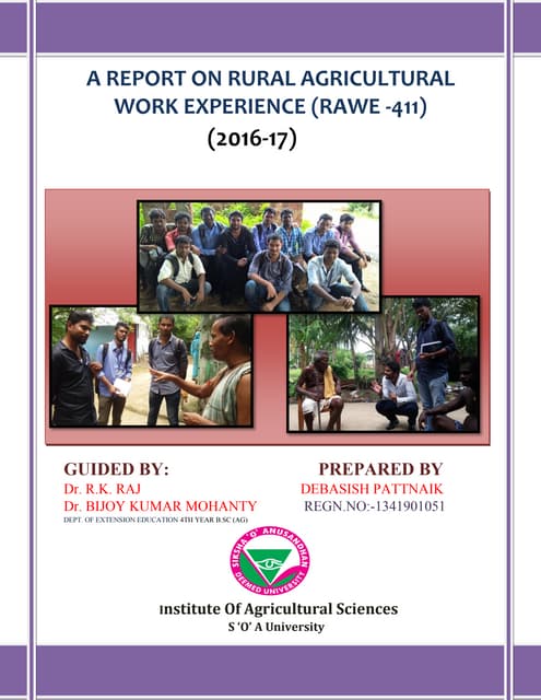 agriculture Field visit report | PDF