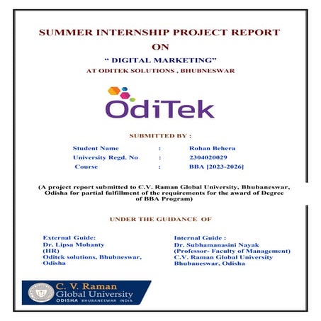 Internship final Report on Digital marketing.docx