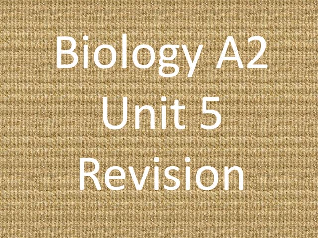 Nurse patient interaction | DOC