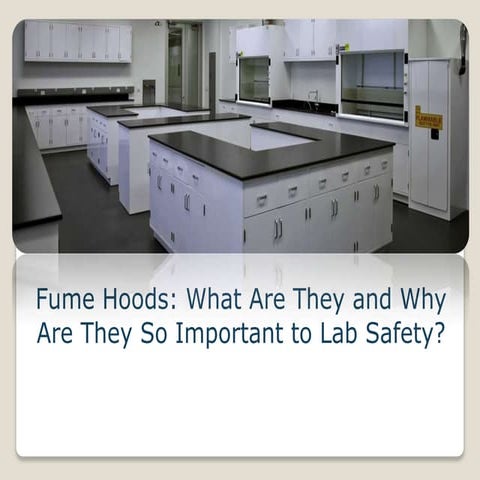 Fume Hoods: What Are They and Why Are They So Important to Lab Safety ...