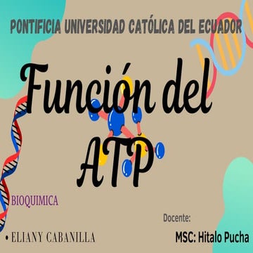 Molecula ATP.pdf