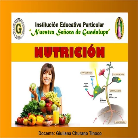 Función de nutrición | PPT