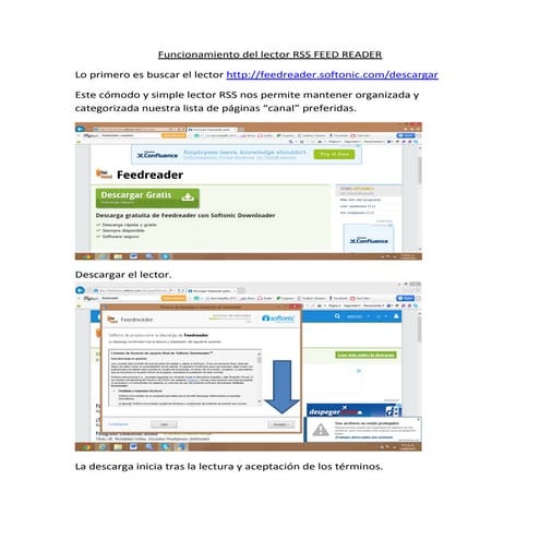 Tutorial feedreader | PDF