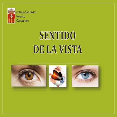 FUNCION Y ORGANOS DEL SENTIDO DE LA VISTA.pptx