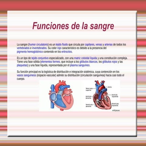 Funciones de la sangre | PPT