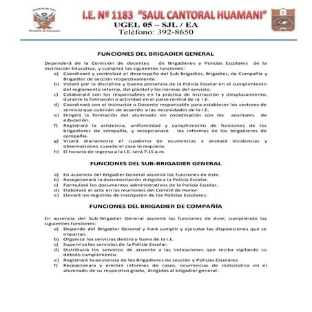 Funciones de brigadieres | DOCX