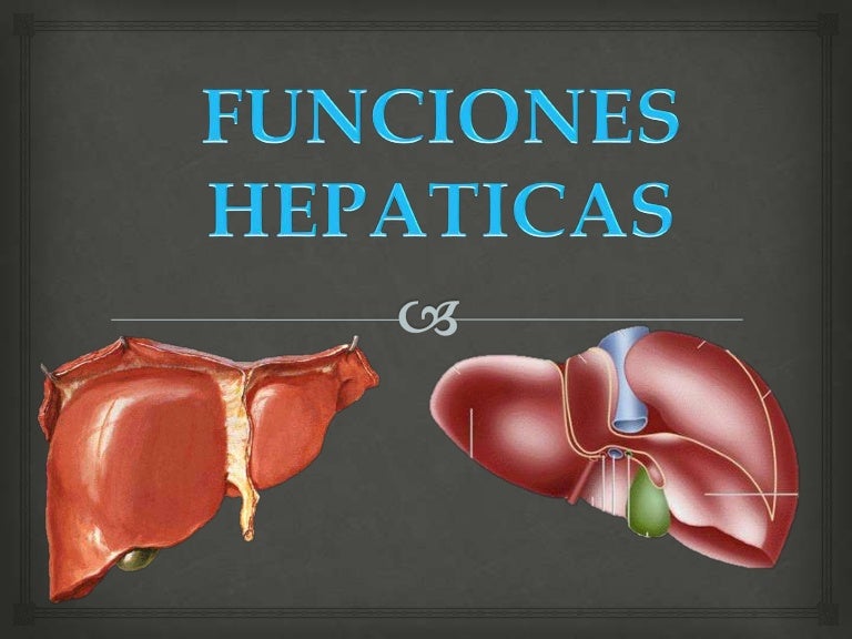 Funciones hepaticas