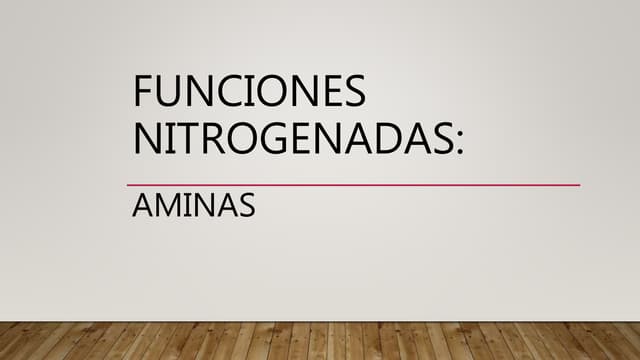 Funciones Nitrogenadas Ppt