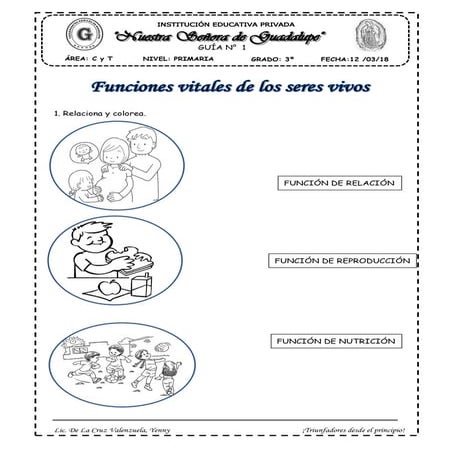 Funciones Vitales 1 Pdf