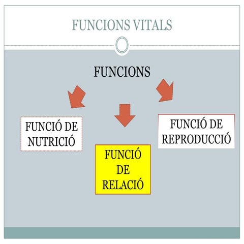 Funcions vitals | PPTX