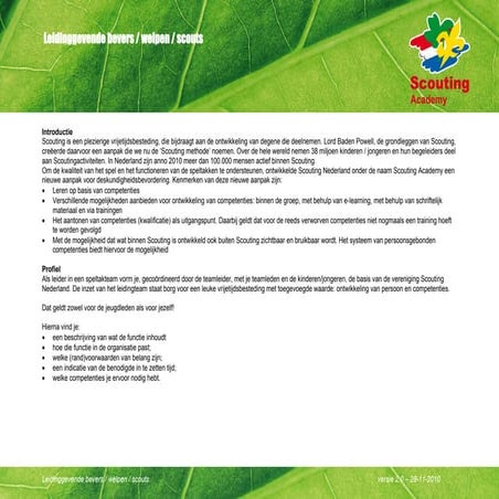 Functieprofiel leidinggevende bevers welpen scouts | PDF