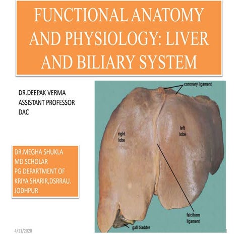 Functional anatomy and physiology of liver | PPT