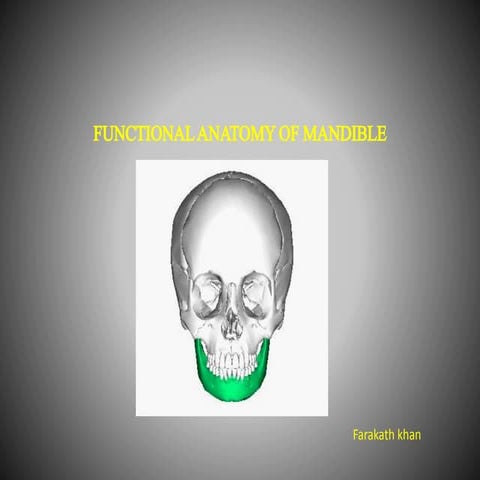 Functional anatomy of mandible | PPTX | Bone and Joint Conditions ...