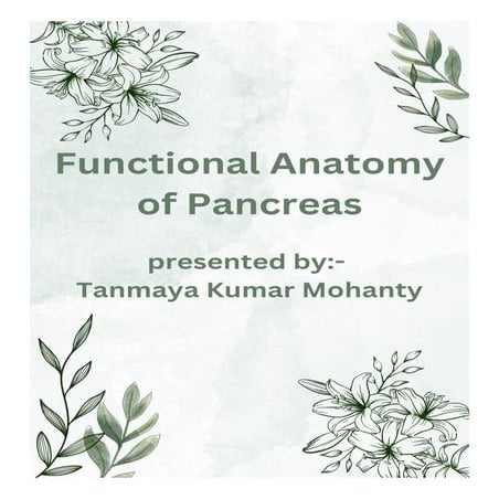 Functional Anatomy of Pancreas, revealing how this small organ plays a ...
