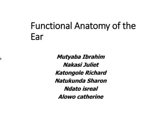 Anatomy and physiology of ENT | PPTX | Ear, Nose and Throat Conditions ...