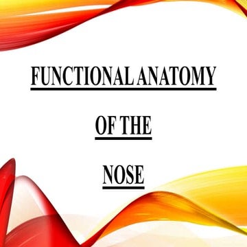Nose and nasal cavity anatomy | PPTX