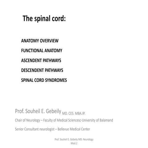 Functional anatomy of the spinal cord.pdf