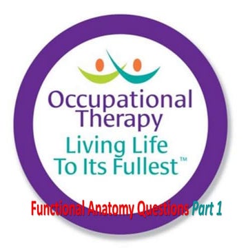 Functional Anatomy Questions Part 1 | PPT