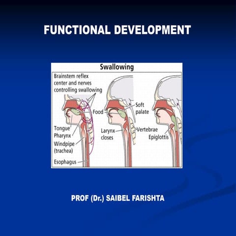 Functional Development | PPT