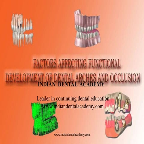 Functional development of dental arches and occlusion /certified fixed ...
