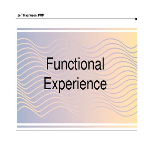Functional Experience Jeff Magnuson, Pmp | PDF