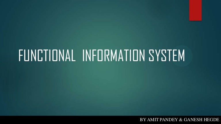Functional Information System