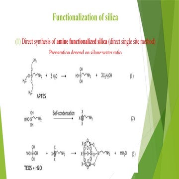 Functionalized Silica surface functionalizatin 2024-2025.pptx