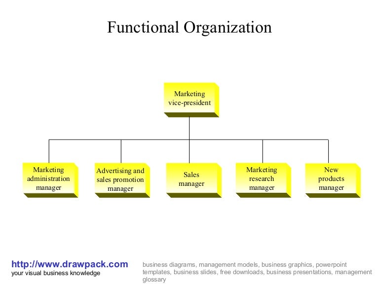 Organization Structure Functional Organization