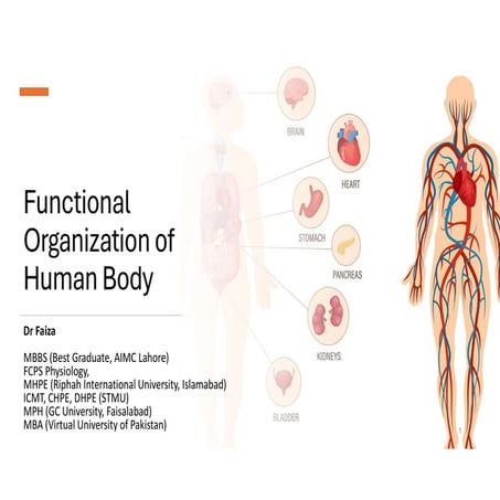 Cerebral Cortex - Functional Areas.pdf