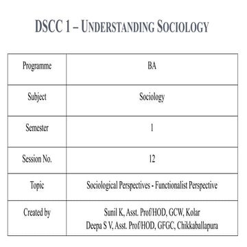 Functional Perspective.pptx