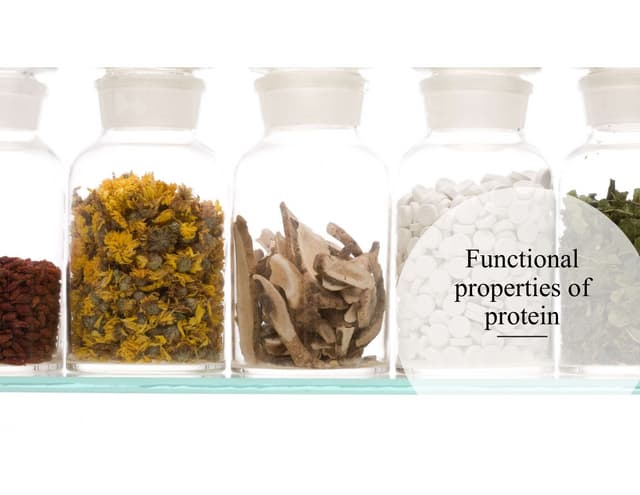 FUNCTIONAL PROPERTIES OF PROTEIN | PPTX