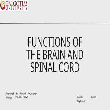The Brain and Spinal Cord: Overview on Basic Functions. | PPTX
