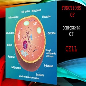 Functions of cell components. | PPTX