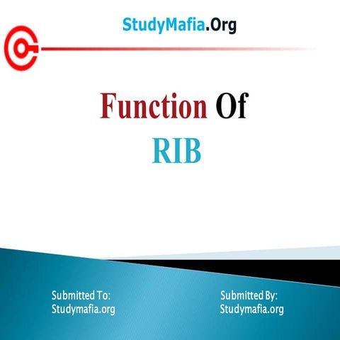 FUNCTIONS-OF-RBI.pdf