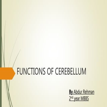 Functions of cerebellum | PPTX