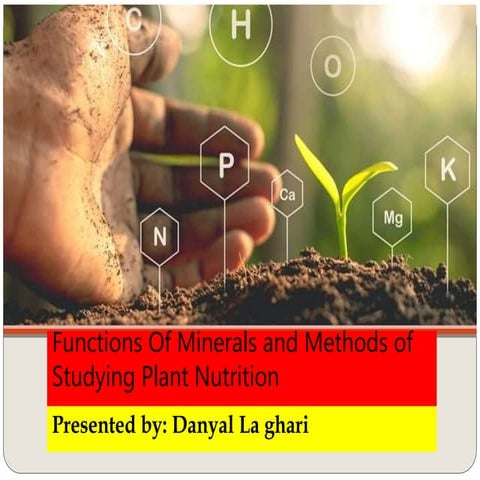 Minerals And Their Functions Unit 23 Minerals | PPT
