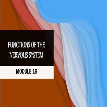Functions of nervous system | PPTX