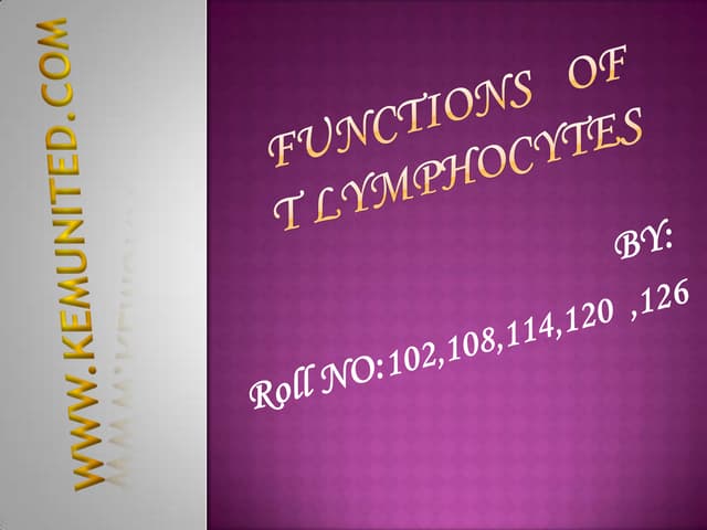 Lymphocytes Ppt